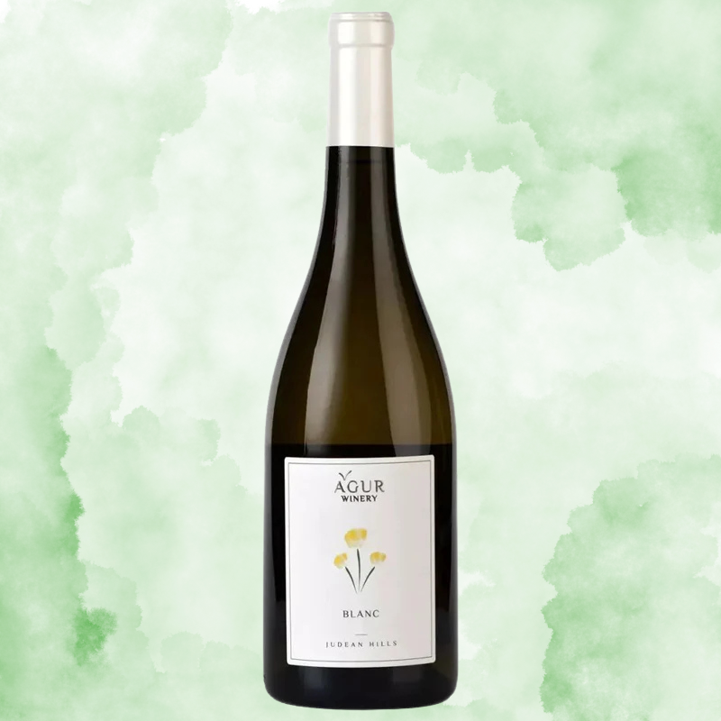 Agur Blanc 2022 – Israel Wine Girl